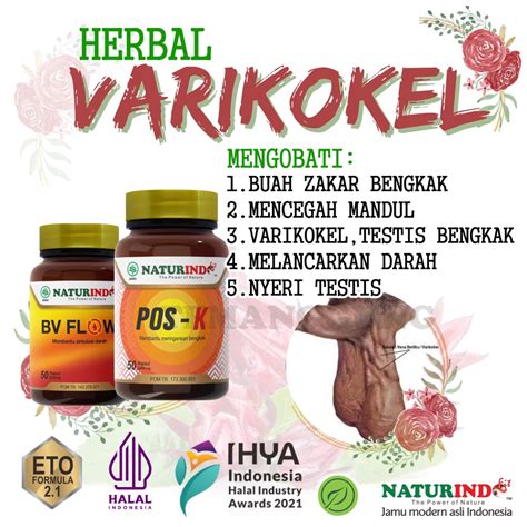 Jual Obat Mandul Varikokel Buah Zakar Bengkak Nyeri Testis Turun Berok