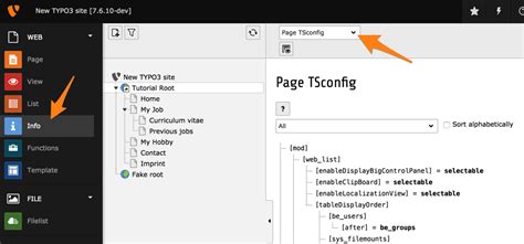using and setting tsconfig — tsconfig reference 8 7 documentation