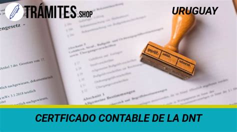ᐈ Certificado De Nacido Vivo 【requisitos Pasos Y MÁs】