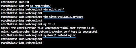 how to install nginx with php and mysql lemp stack on