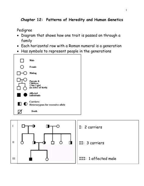 Chapter 12 Patterns Of Heredity And Human Genetics