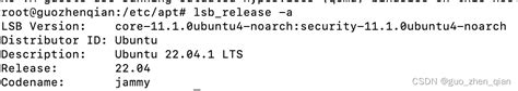 linux系统常见小问题 no lsb modules are available csdn博客