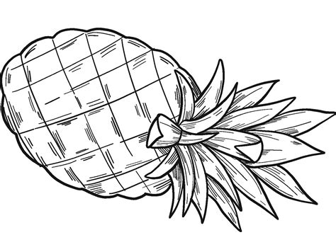 Dibujos De Piña Para Colorear