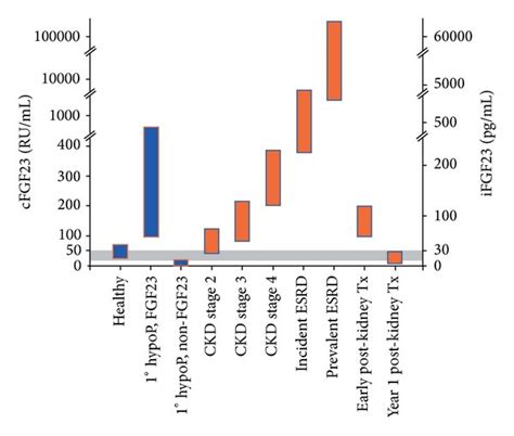 Representative Levels Of Fgf23 In Health In Various States Of Ckd