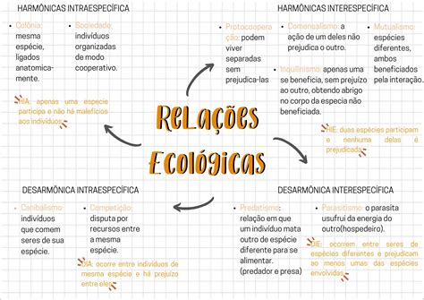 Mapa Mental De Relações Ecologicas Fdplearn