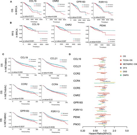 Frontiers Immune And Stroma Related Genes In Breast Cancer A
