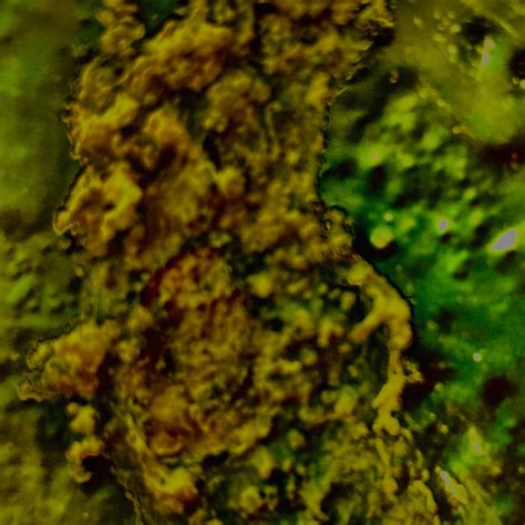 The Birth Of Cthulhu T 4c 37 11 T