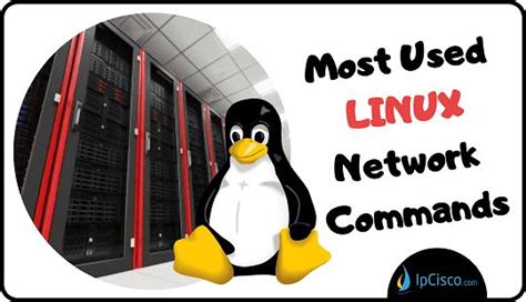 top 35 network commands in linux arp route ip netstat dig⋆