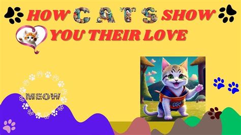 How Do Cats Show Their Love World Cat Day 2023 Special Are You A Cat