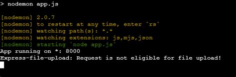 command line error express file upload request is not