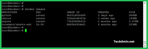 what is docker images tecadmin docker tutorial s