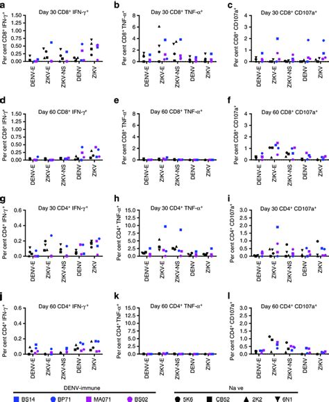 Antigen Specific Cd8 þ And Cd4 þ T Cell Responses In Naı¨venaı¨ve And