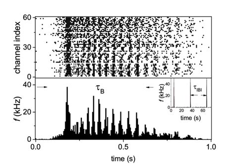 raster plot and its firing rate time histogram of a synchronized burst