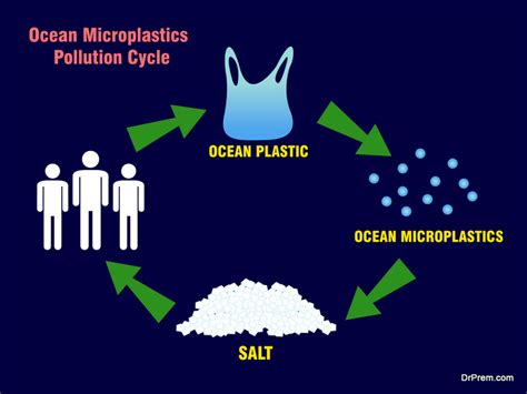 Why Microplastic Invasion Is Serious Issue And How To Stay Safe