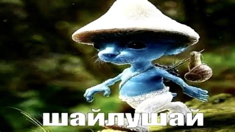 Шайлушай Youtube