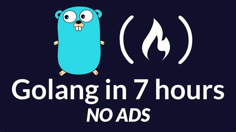 learn go programming golang tutorial for beginners golang