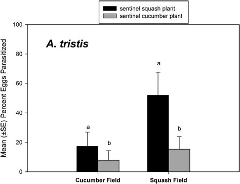 Host Finding Behavior Of The Parasitoid Hadronotus Pennsylvanicus