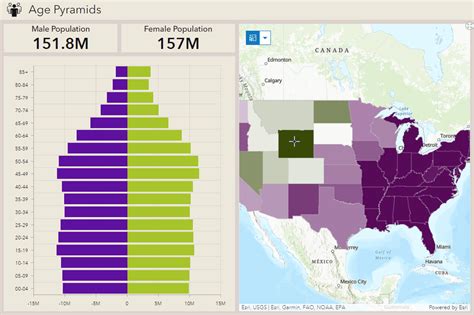 How To Make Age Pyramid Charts In Arcgis Dashboard Esri Community