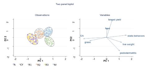 principal component analysis plot showing the observations and loadings