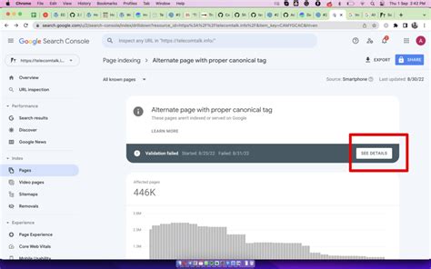 how to fix alternate page with proper canonical tag page index issue