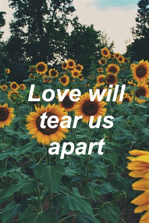 Love Will Tear Us Apart Joy Division Image 3605663 By Ksenia L On