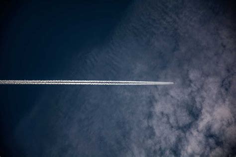 how to fetch data in react from rest api bigsondev