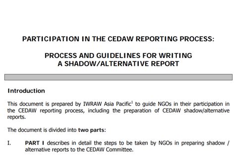 Participation In The Cedaw Reporting Process Ilga World