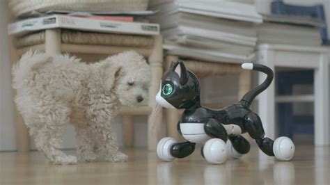 Mejores Documentales De Ciencia Gratis Y Online En Rtve Play
