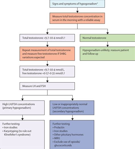Male Hypogonadism The Lancet