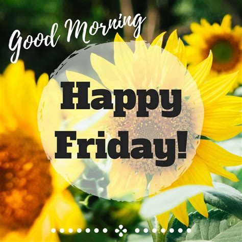 Top 999 Good Morning Happy Friday Images Amazing Collection Good