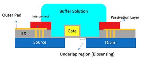 Biosensors Special Issue Biosensors Applications Based On Field