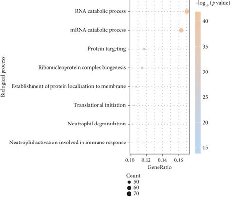 Pathway And Biological Process Annotations Enriched With The
