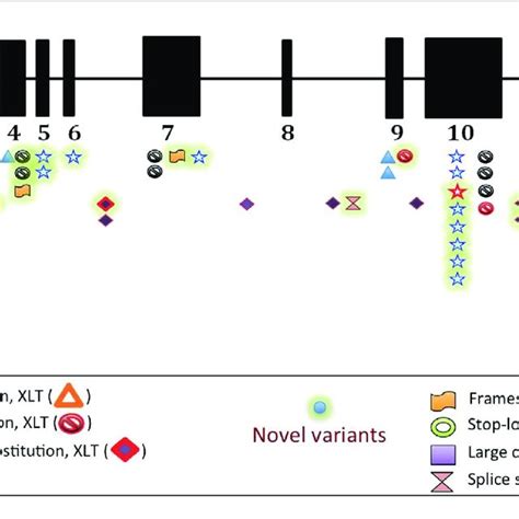 Distribution Of Variants On Various Exons And Intervening Sequences