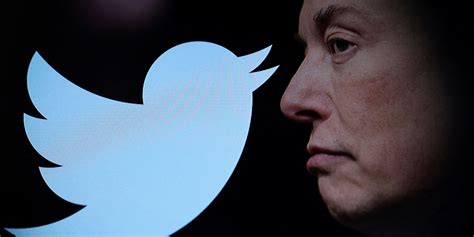 Elon Musk Begins His Twitter Ownership With Firings Declares The ‘bird
