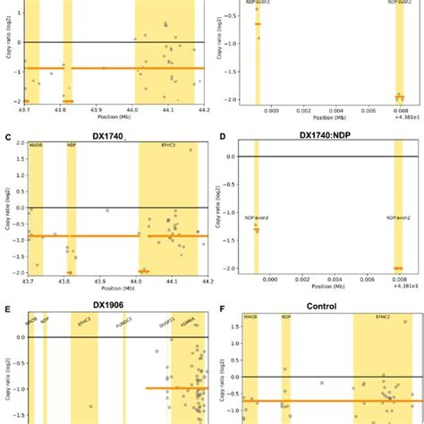 Ndp Copy Number Variations Cnvs Detected By Seqcnv A Ndp Exon 2