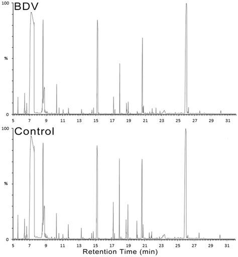 Representative Gc Ms Total Ion Current Chromatograms From Bdv Infected
