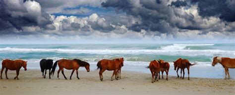 11 Outer Banks Hidden Gems You Need To Discover Paramount Destinations