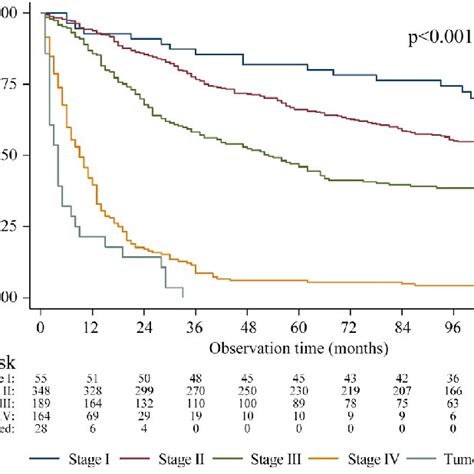 Effect Of Lymph Node Dissection During Surgical Treatment For Long Term