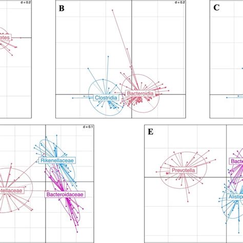 factor loading matrix for first two dietary patterns download