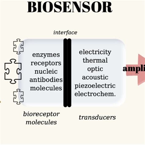 Working Principle Of Biosensors As Seen In Figure 1 Biomolecule Based