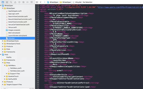 ios how to update info plist with code stack overflow