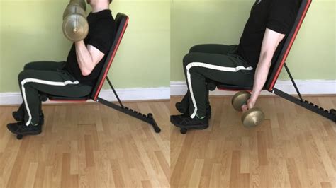 Seated Dumbbell Curls Complete Bicep Tutorial