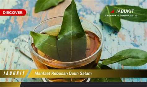 Temukan 7 Manfaat Rebusan Daun Salam Yang Bikin Kamu Penasaran Discover