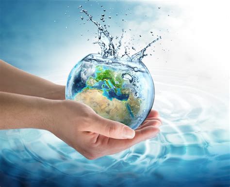 Four Water Saving Gardening Techniques Ways2gogreen