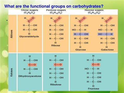 Ppt Unit 1 Biochemistry The Chemistry Of Life Powerpoint