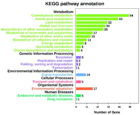 Classification Of Kegg 2148 Degs Download Scientific Diagram
