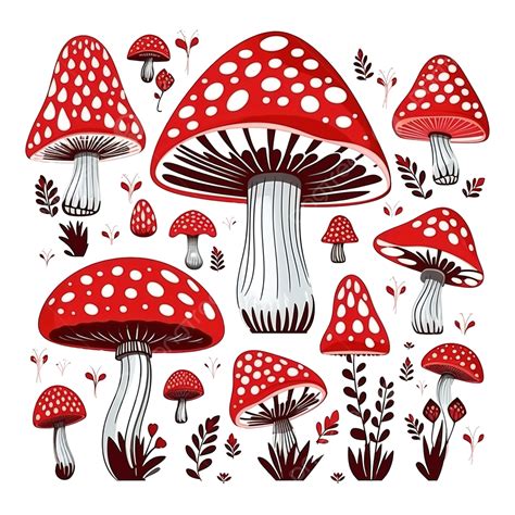 有毒なベニテングタケのキノコは白に落書きイラスト素材透過、pngフリー画像ダウンロード Pngtree
