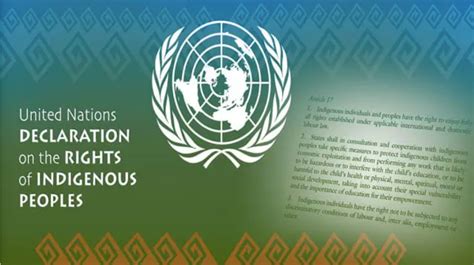 Un Declaration On The Rights Of Indigenous Peoples Nightingale