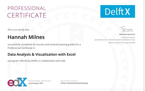 professional certificate data analysis and visualization with excel