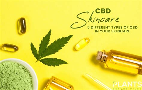 Cbd Skincare [video] Plants Before Pills